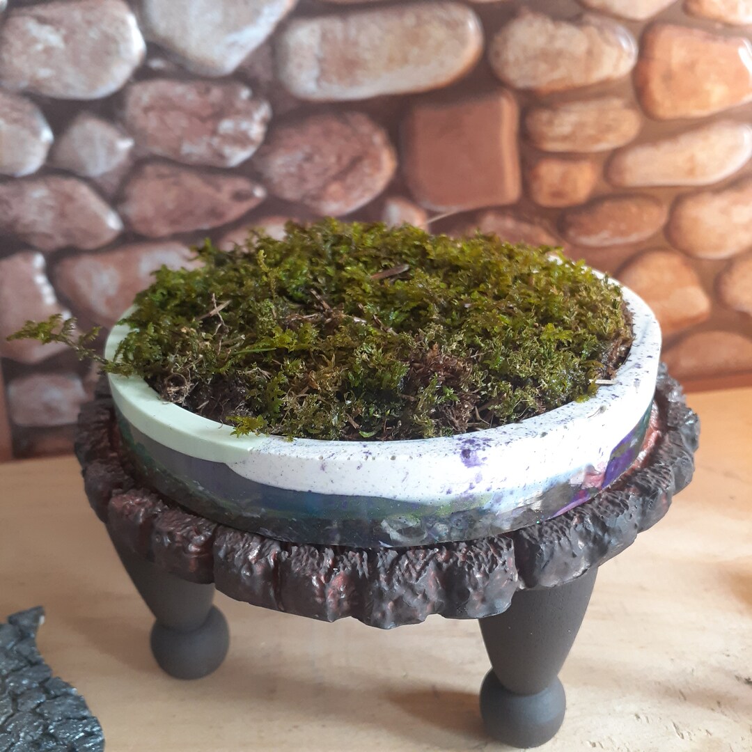 Live Moss Garden Tray Kit Three Sizes S M L Add-ons Available - Etsy