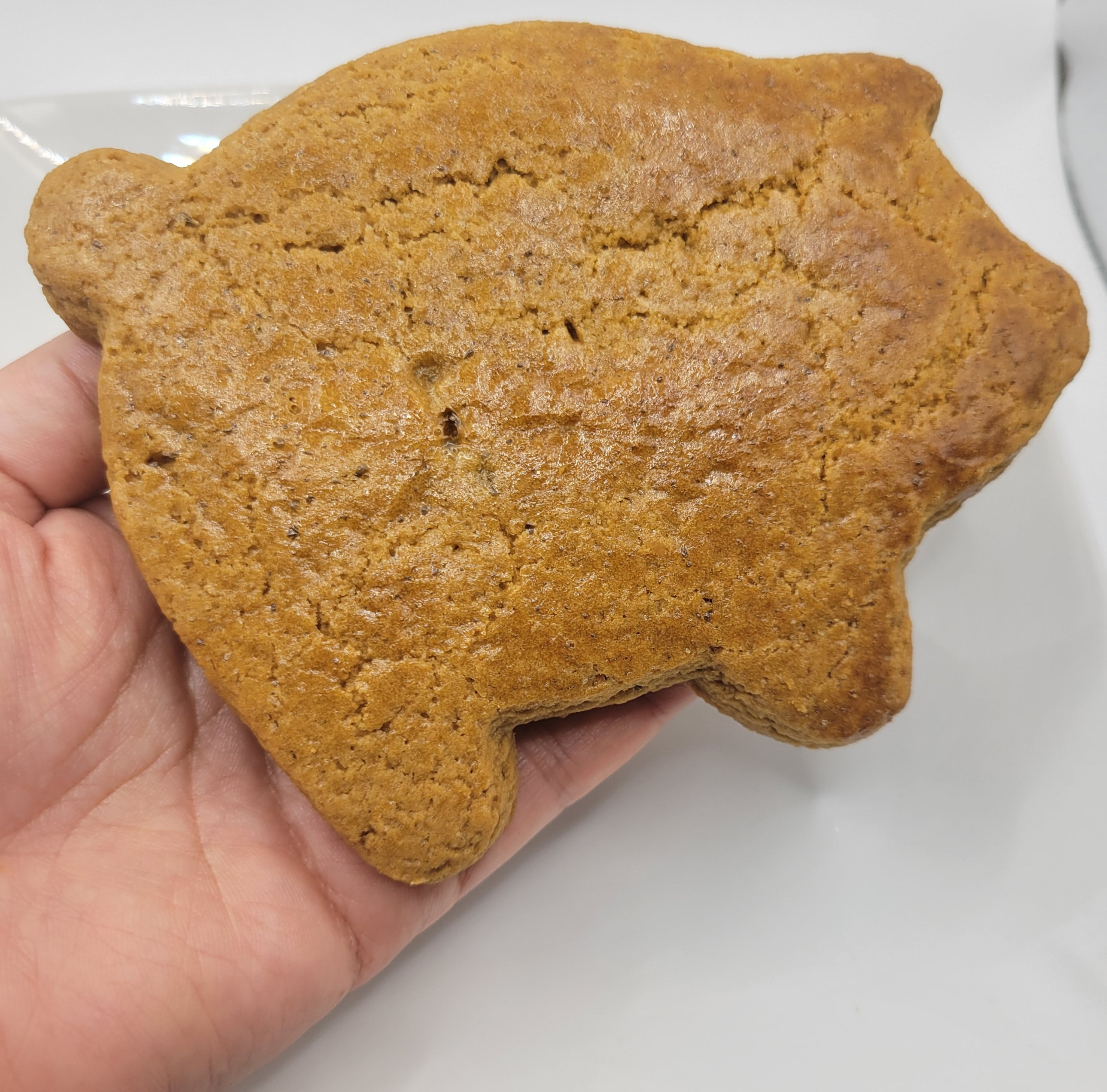 Marranitos Marranitos Mexicanos Puerquitos Cochinitos - Etsy