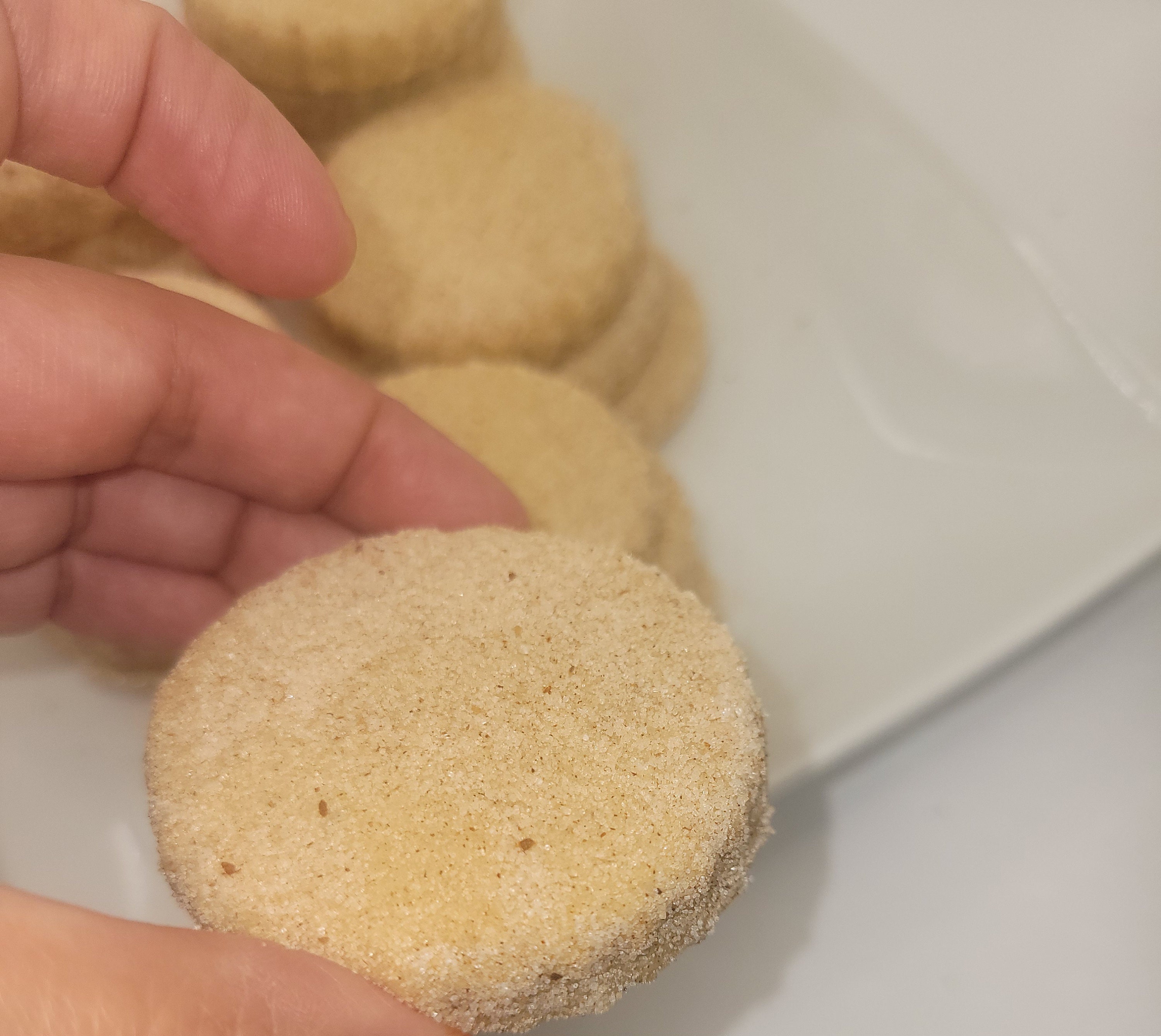 36 Round Galletas De Canela Mexican Cinnamon Cookies Polvorones ...