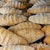 Yellow Cuernitos, Mexican Yellow Cuernitos, Pan Dulce, Mexican Sweet ...