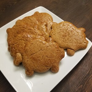 Marranitos Marranitos Mexicanos Puerquitos Cochinitos | Etsy