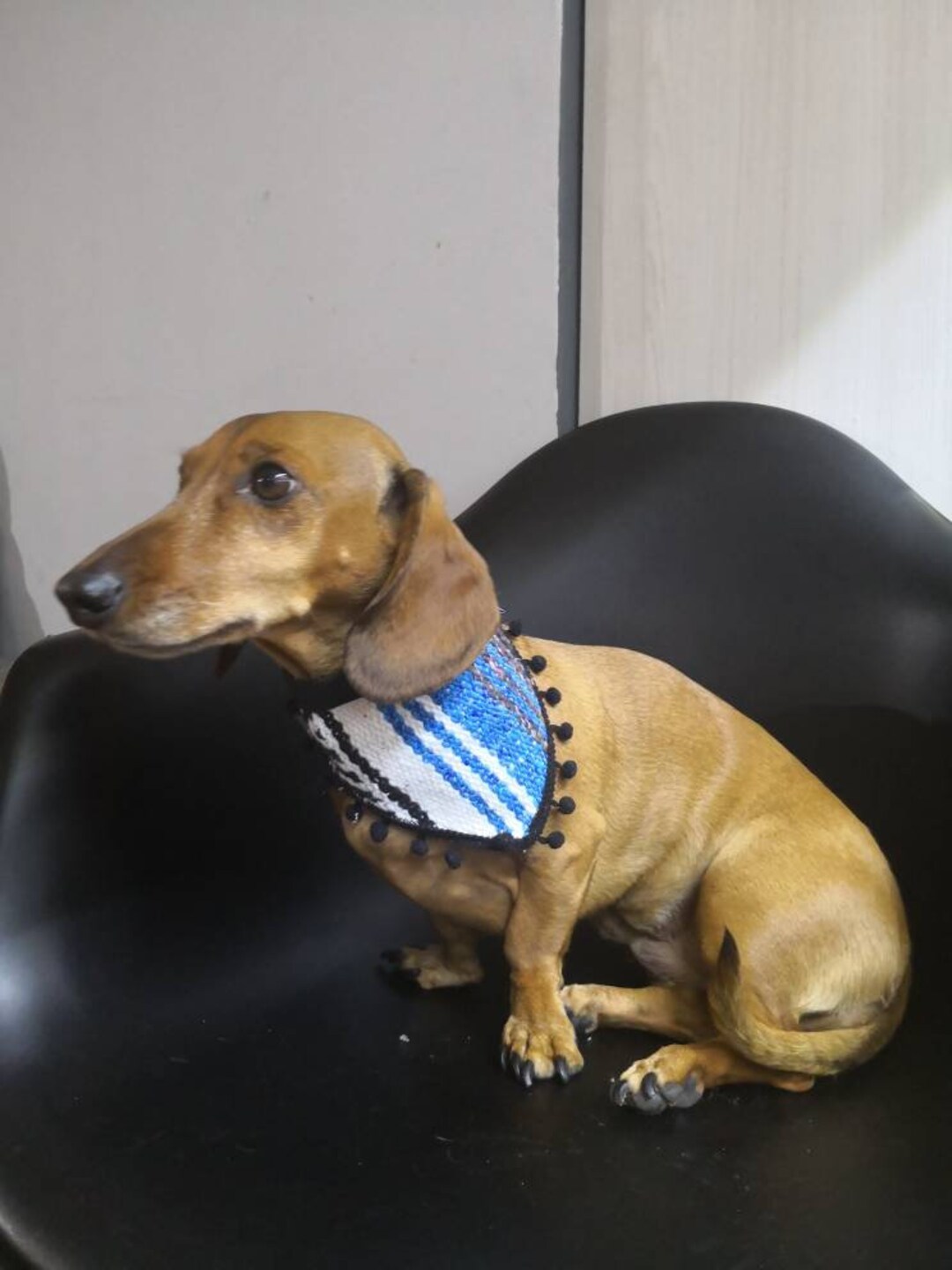 Sarape Dog Bandana, Paliacate De Sarape Para Perro - Etsy