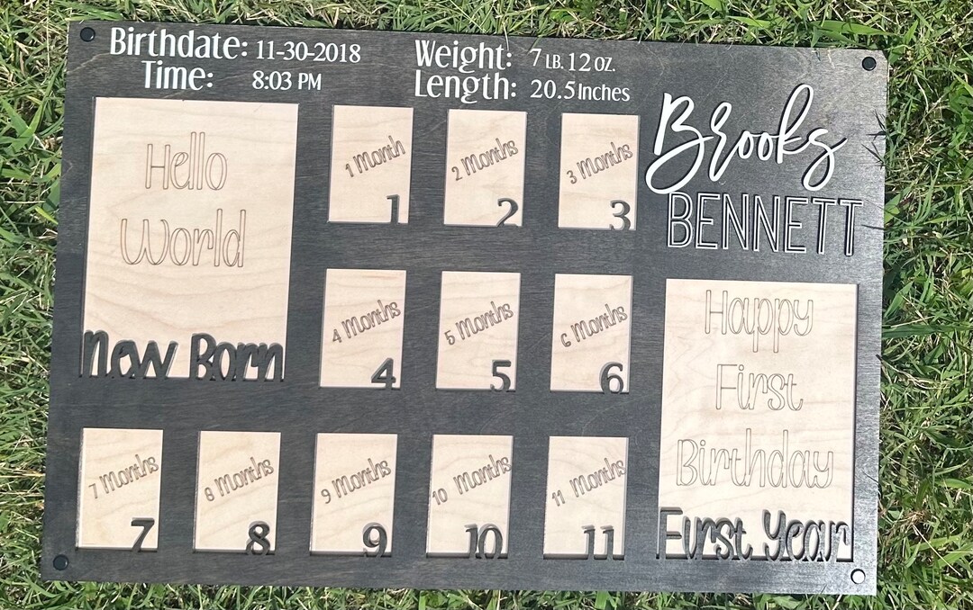 Baby First Year Picture Frame, Baby Monthly Frame With Birth Stats ...
