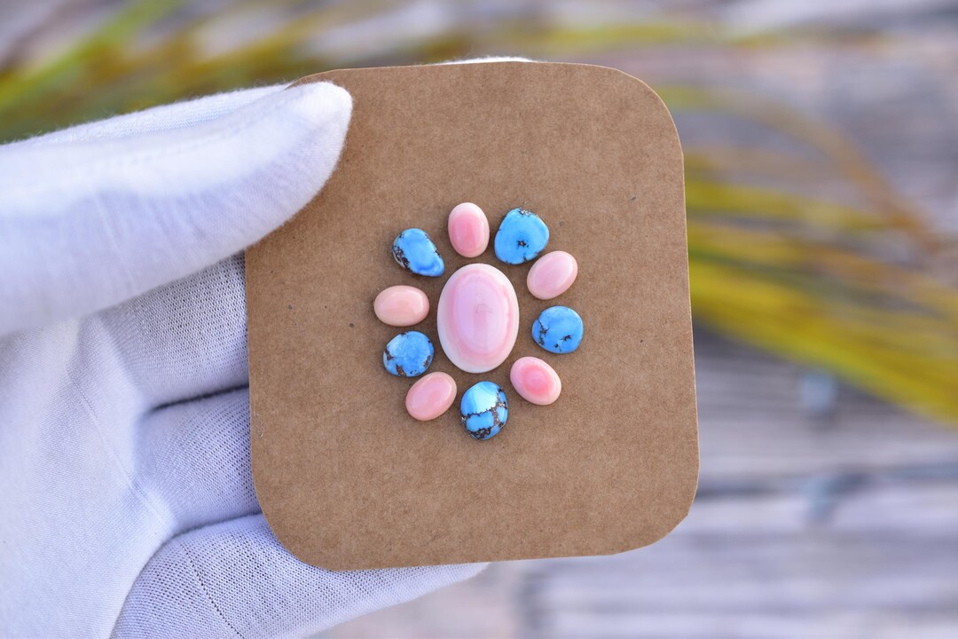 Natural Queen Conch Shell & Golden Hill Turquoise Cabochon Layout Set ...