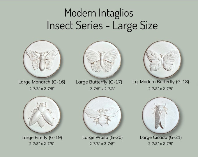 Modern Insects Intaglio Art, Plaster Medallions on Canvas, Botanical ...