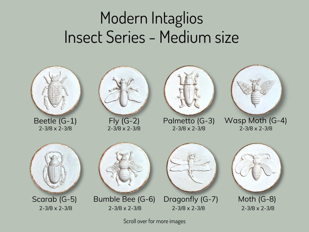 Handcrafted Insect Intaglios: DIY Art Project - Etsy