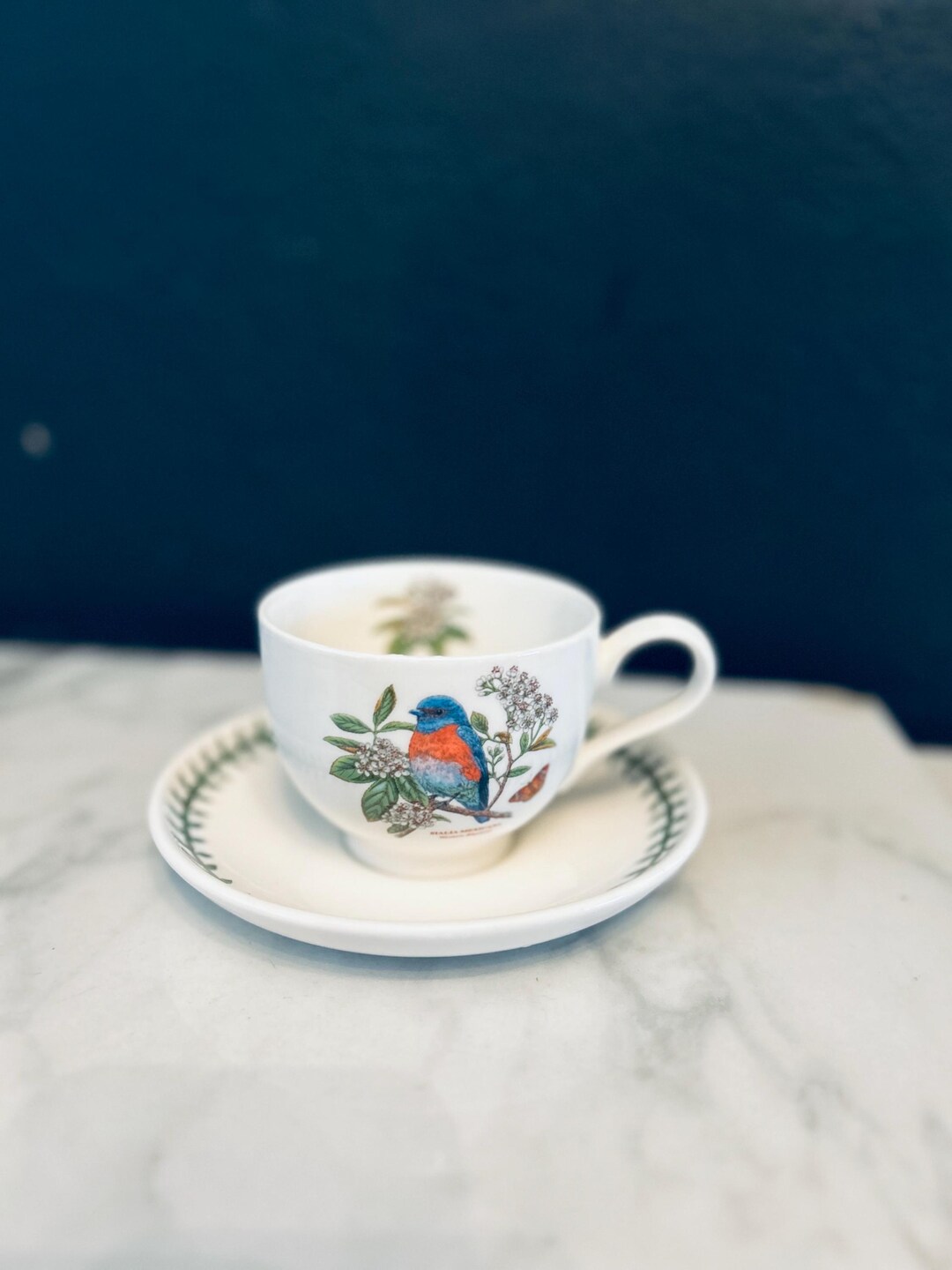 Portmeirion Botanic Garden Birds Cup & Saucer 10002936 Western Bluebird ...