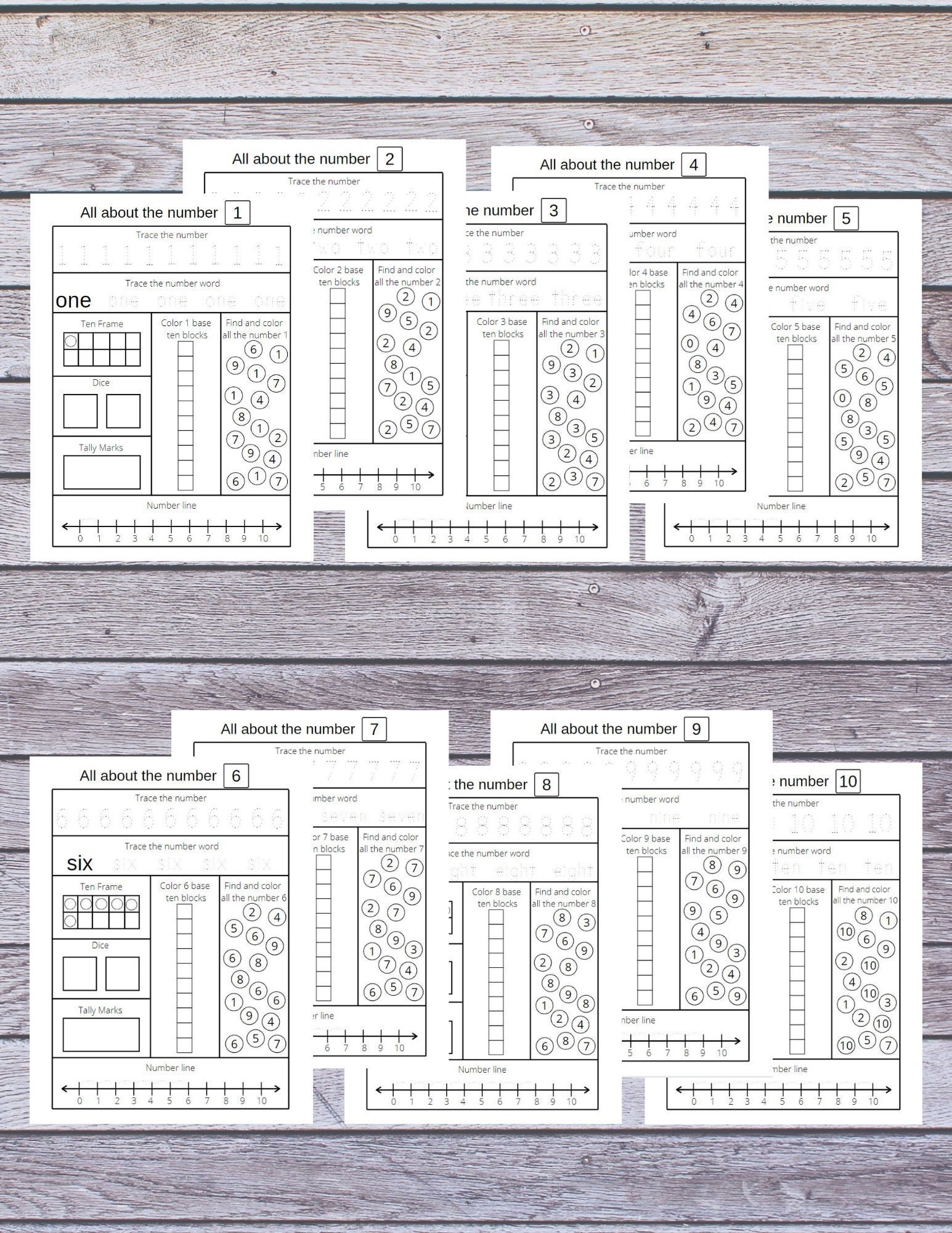 All About Numbers Learning Numbers Teaching Numbers Pre-k - Etsy