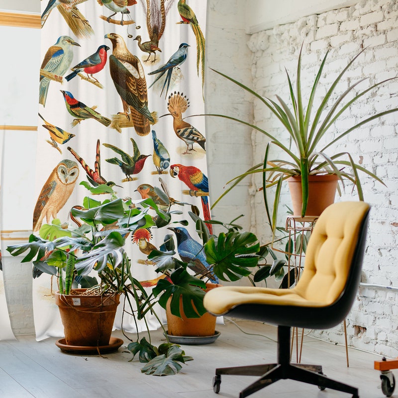 Bird Curtains - Etsy