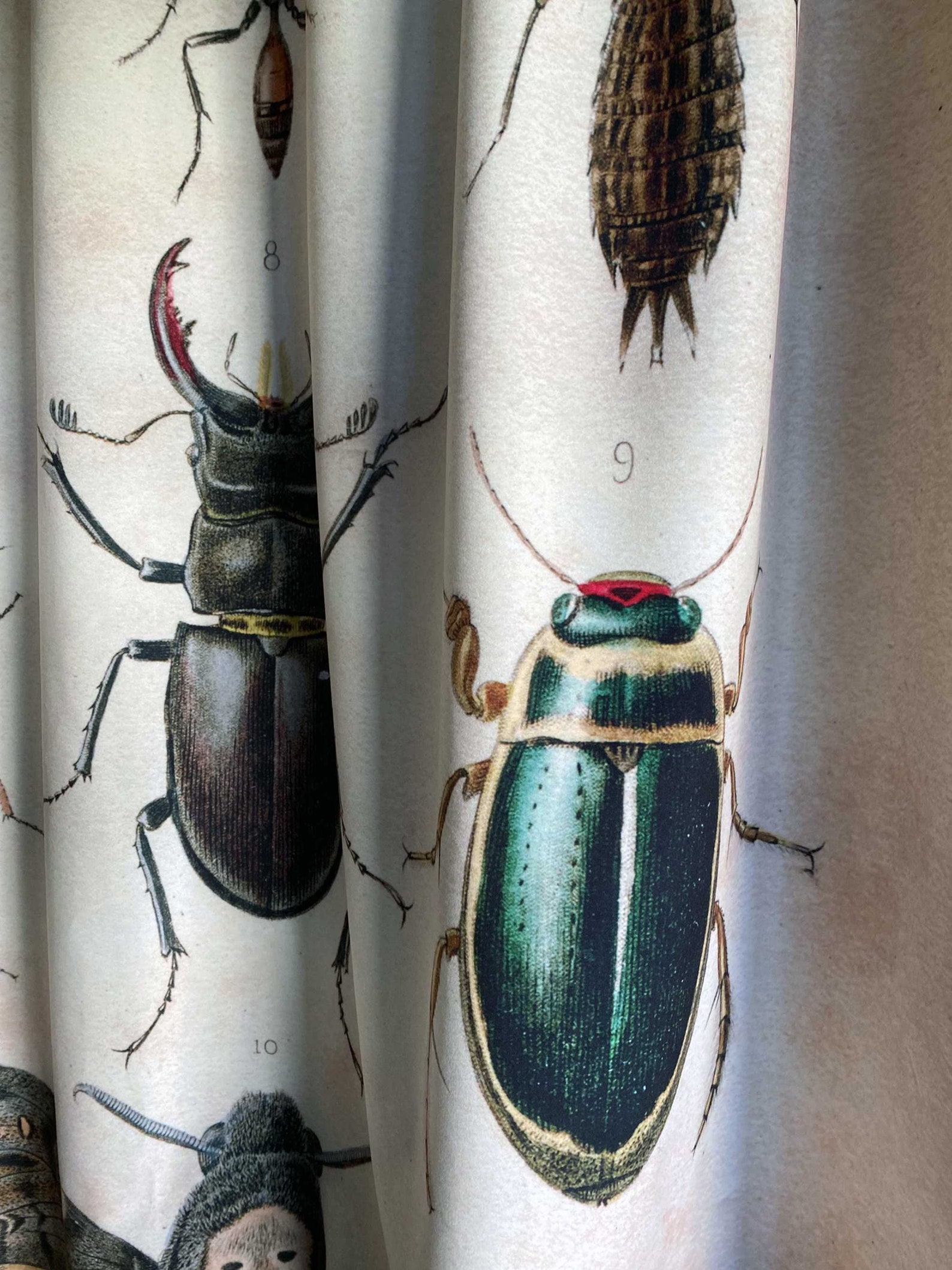 Set of 2 Curtains With Vintage Insects, Blackout Curtains - Etsy