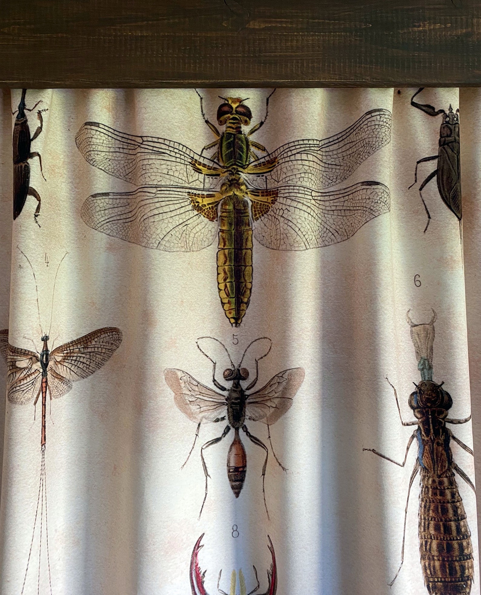 Set of 2 Curtains With Vintage Insects, Blackout Curtains - Etsy