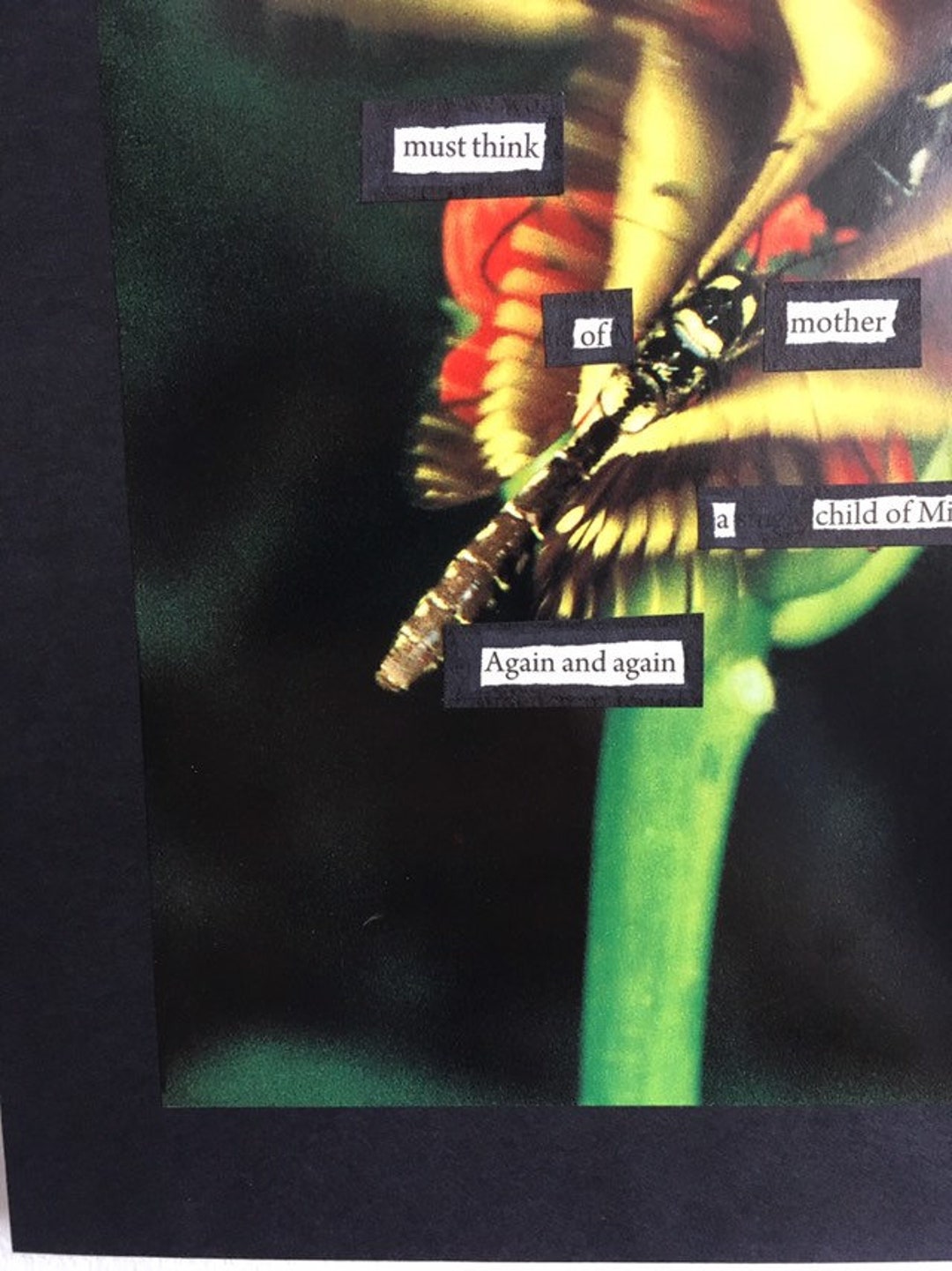 Vision of Panic - Blackout Poetry Collage A4 - Etsy