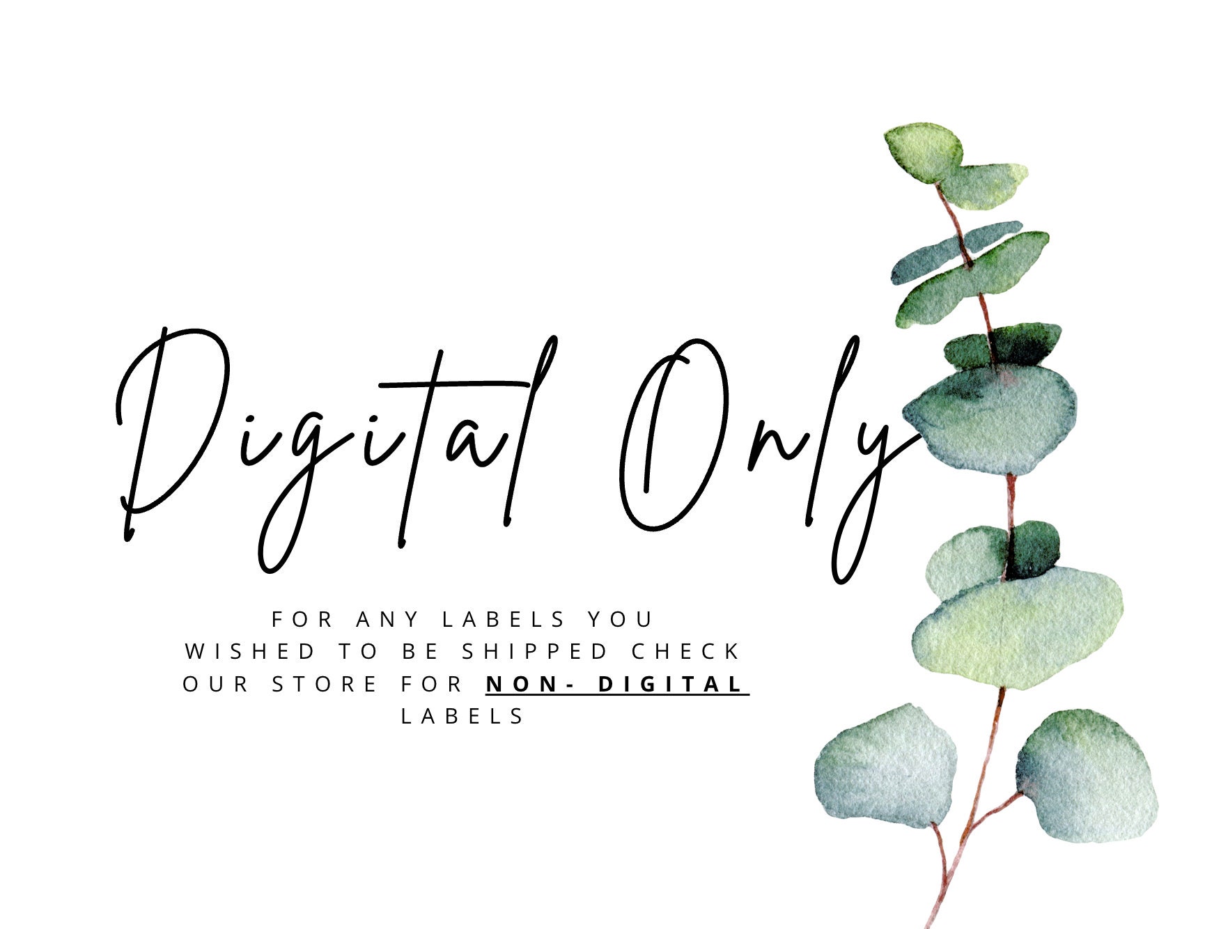 Custom Martinelli Cider Custom Label, Custom Sparkling Cider Sticker ...