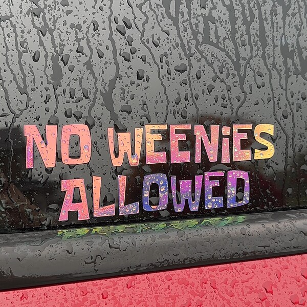 Decal Bumper Sticker - Etsy