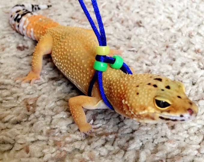 Small Reptile Leash/harness - Etsy