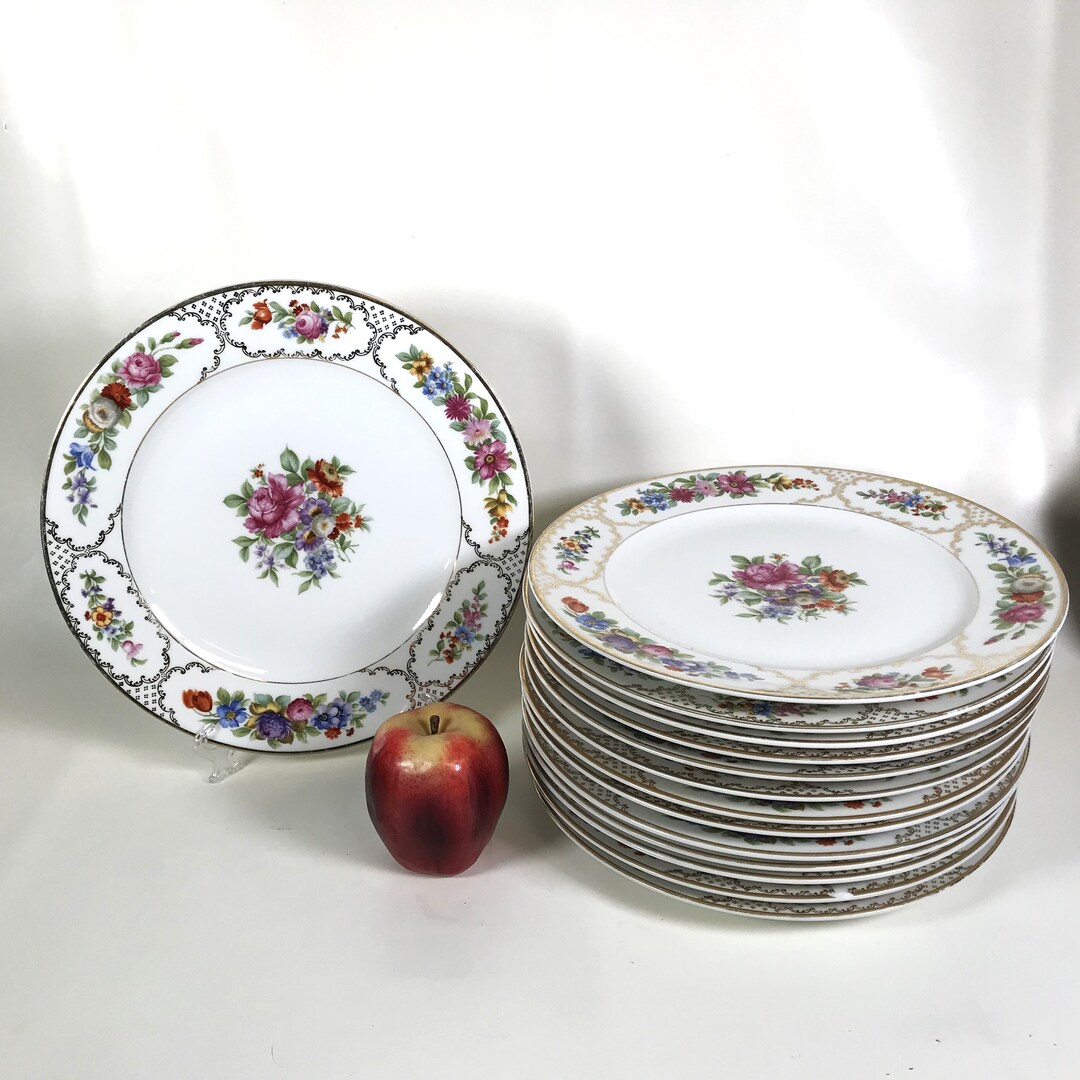 Set of 14 Rosenthal "the Dresden "pattern 11" Dinner Plates - Etsy