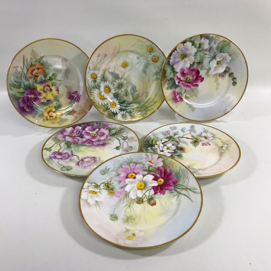 Set of 6 Limoges Hand Painted Flower Decorated Porcelain Plates - Etsy