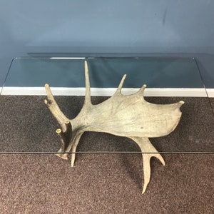 Moose & Elk Antler Coffee Table - Etsy