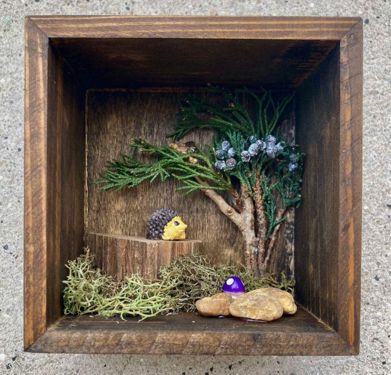 Mini Moss Art Shadow Box - Etsy