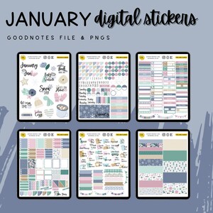 January Monthly Kit Digital Stickers, Winter Planner Stickers, Snow Day ...