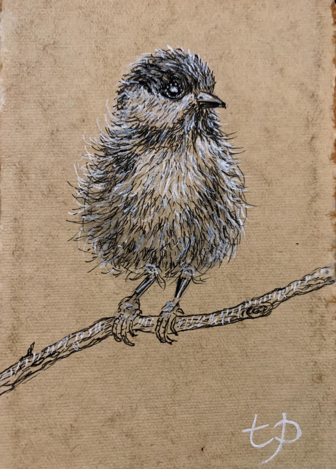 Whimsical Fluffy Chickadee Original Art - Etsy