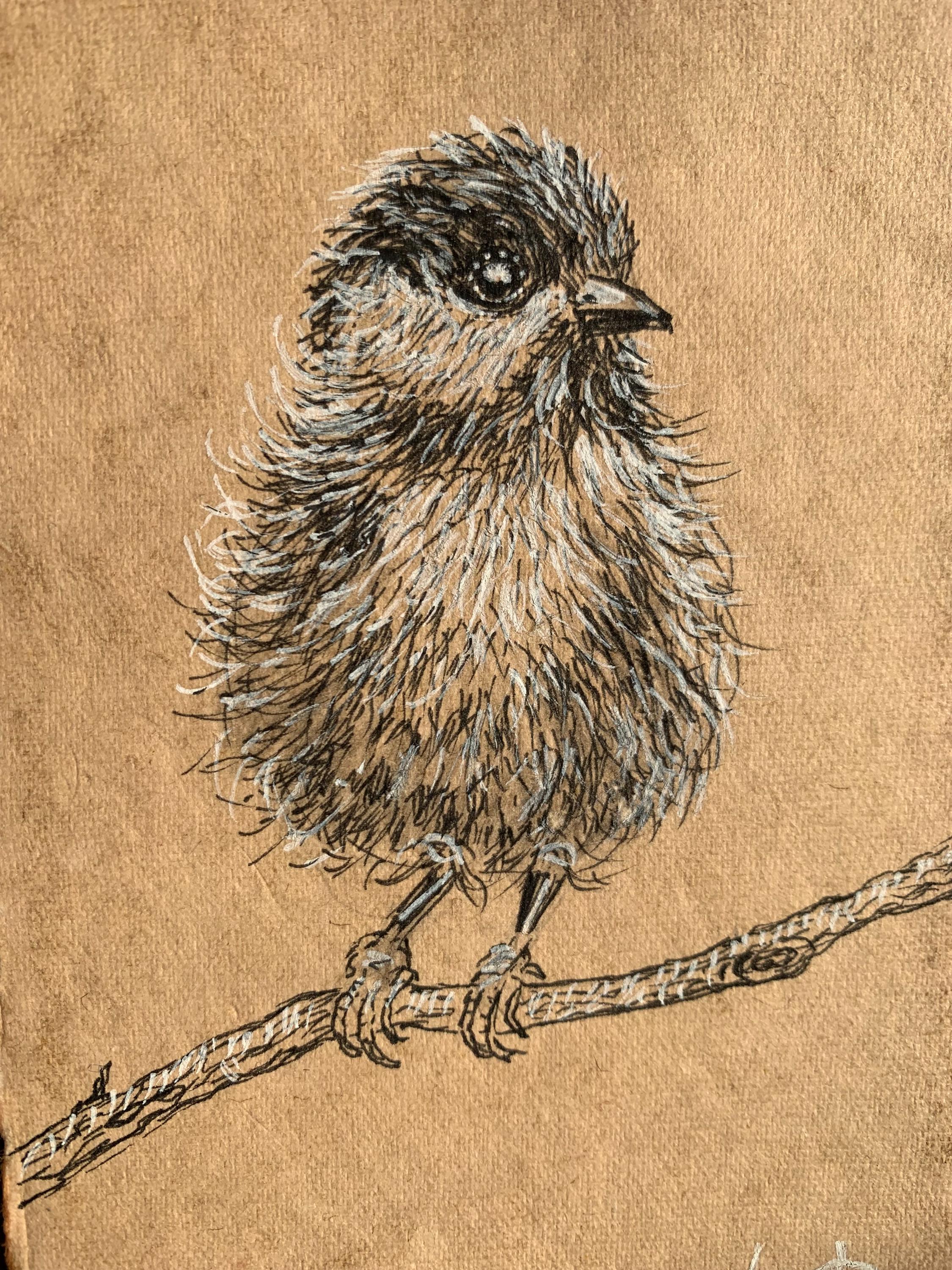 Whimsical Fluffy Chickadee Original Art - Etsy