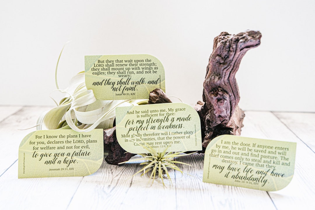 Scripture Leaves Complete Collection - Etsy