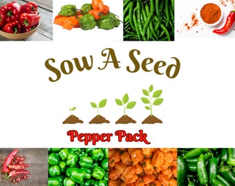 Leek Organic Seeds Heirloom, Open Pollinated, Non GMO Grow Indoors ...