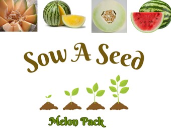 Leek Organic Seeds Heirloom, Open Pollinated, Non GMO Grow Indoors ...