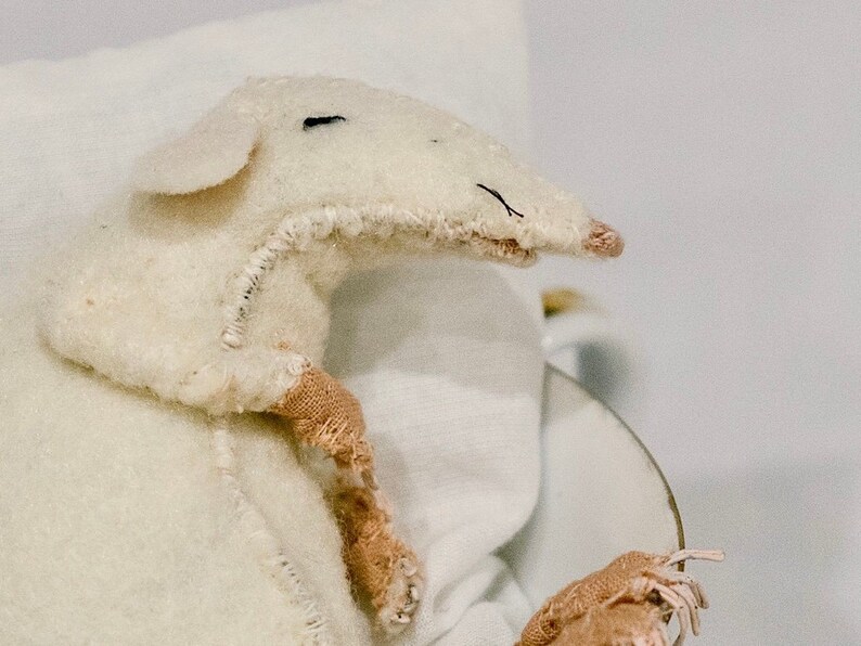 Mouse in a Cup: Lucille, the Narcoleptic. - Etsy