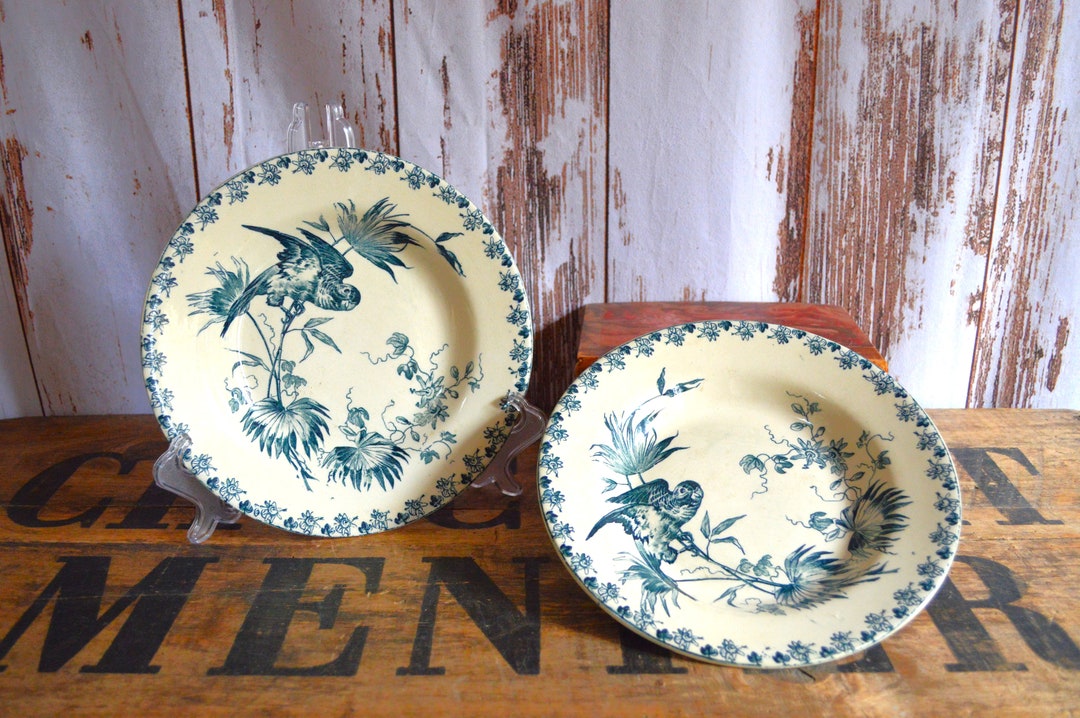 Rare GIEN Plate Model Perruche 19th Century Art Nouveau Creuse Plate ...