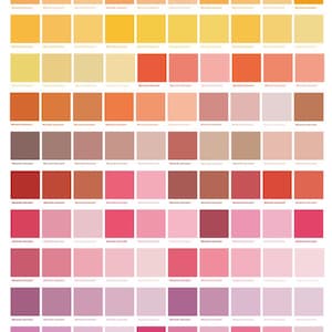In-stock Pantone Mini Ephemera Booklet | Assorted Color Morandi Color ...
