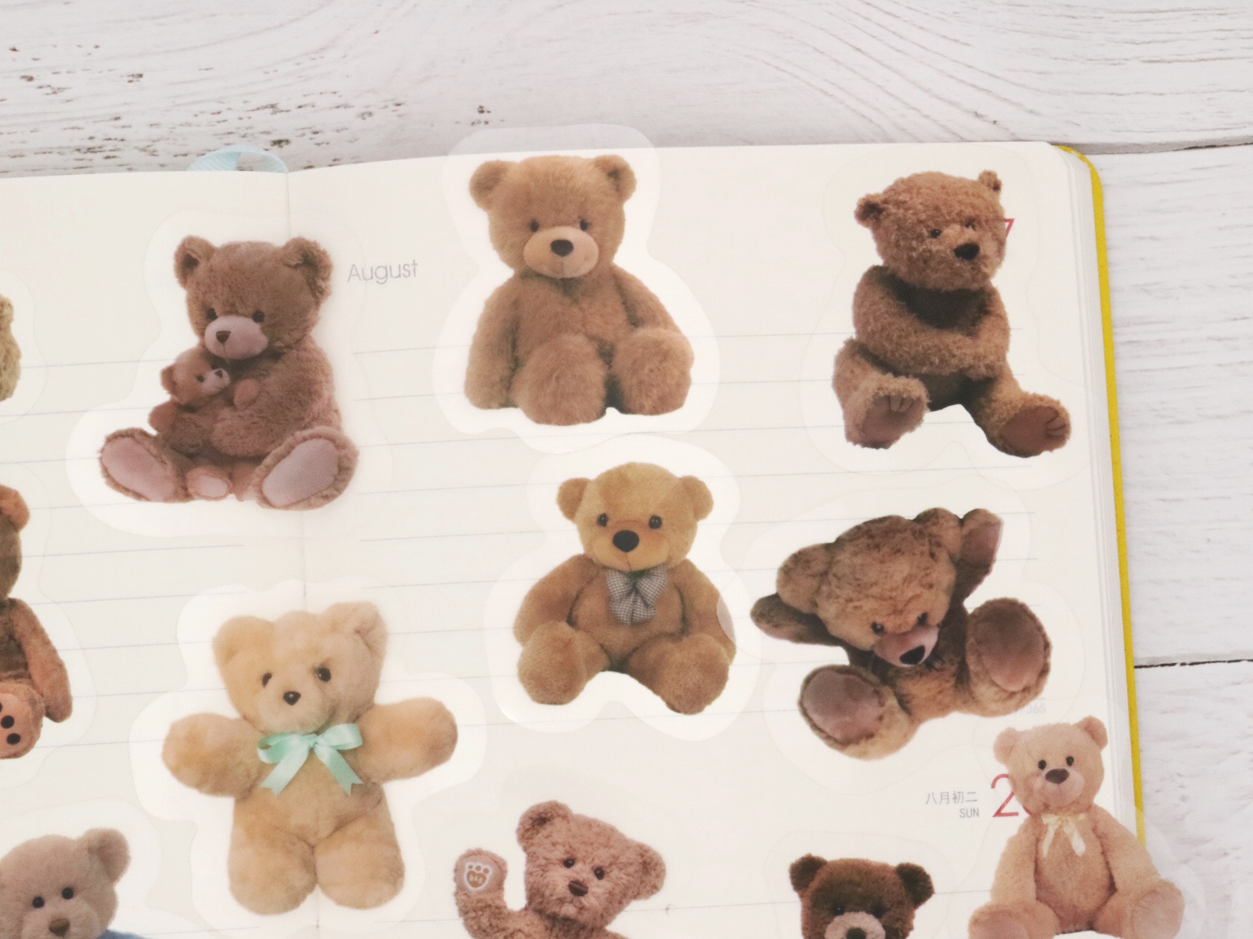 Bear PET Plastic Sticker | Teddy Bear Themed PET Plastic Fluffy Bear ...