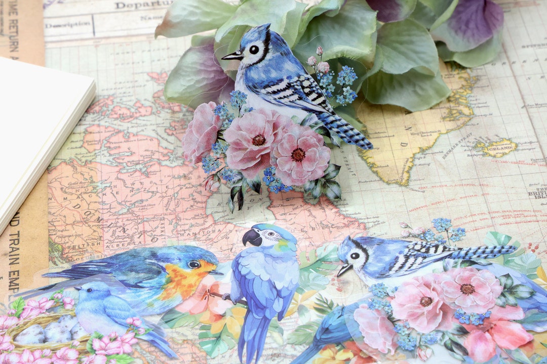 Birds PET Plastic Sticker | Parrot Quill Bird Sparrow Nature Insect PET ...