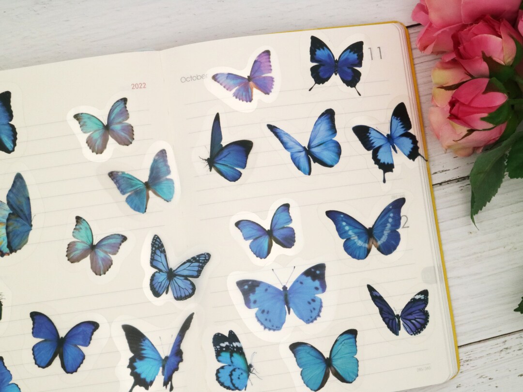 Butterfly Plastic Sticker | Blue Butterfly Blue Morpho Themed PET ...