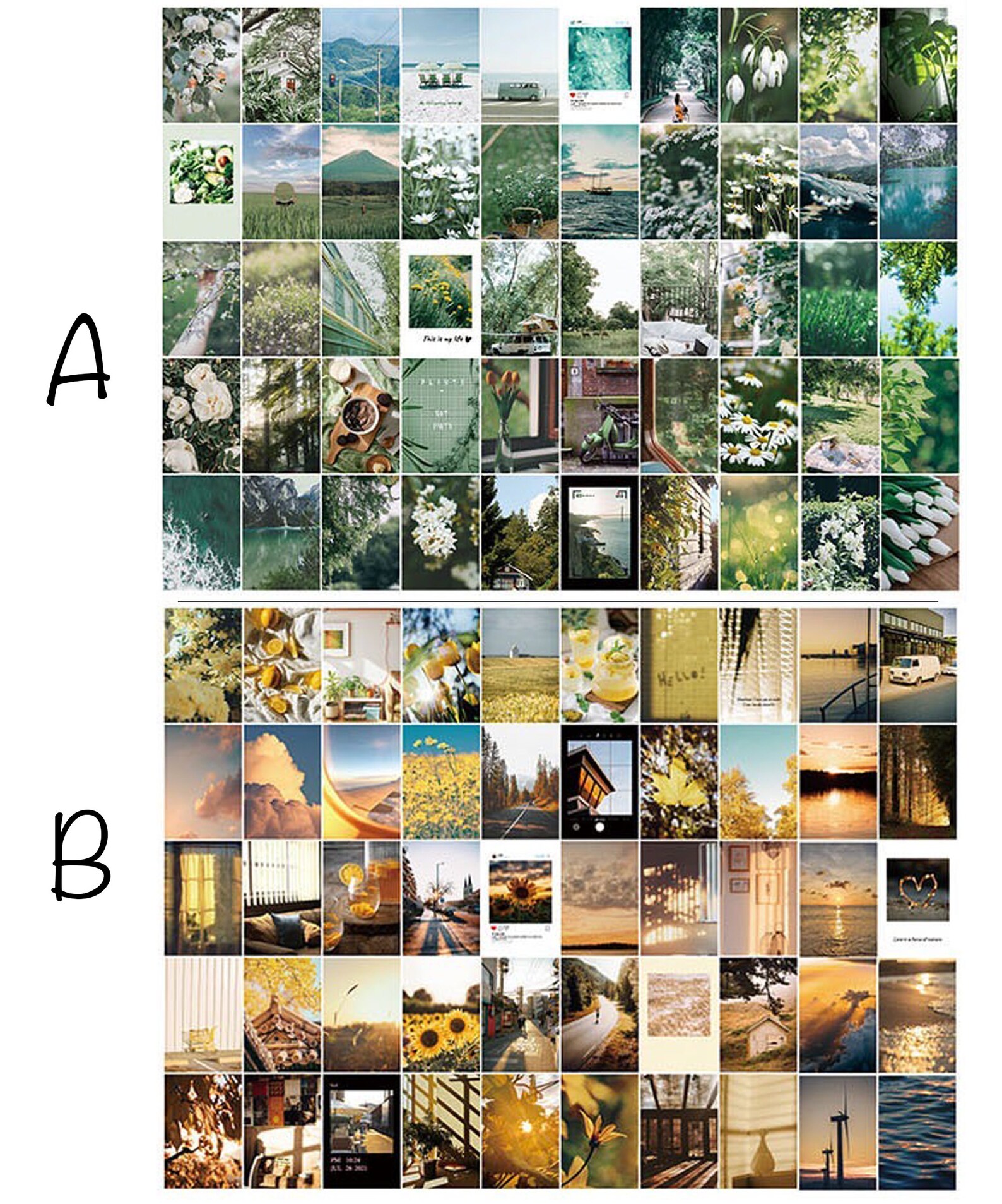 Nature Mini Washi Sticker Booklet Assorted Pattern Sky Green - Etsy