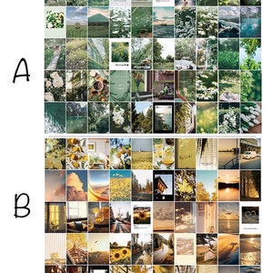 Nature Mini Washi Sticker Booklet | Assorted Pattern Sky Green ...