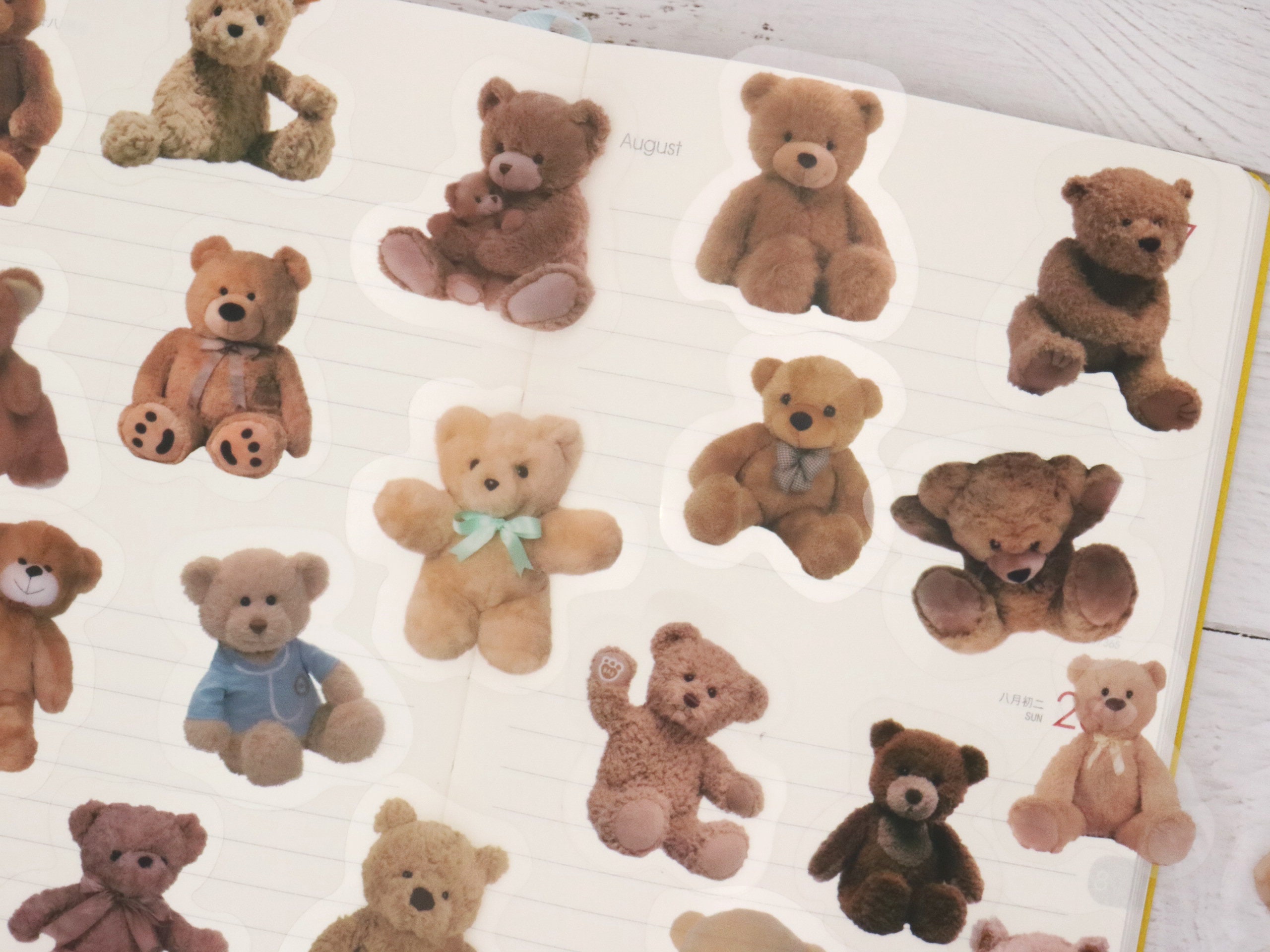Bear PET Plastic Sticker | Teddy Bear Themed PET Plastic Fluffy Bear ...