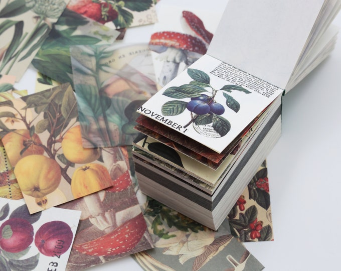 450 Sheets Mini Paper Booklet | Assorted Pattern Mushroom Plant Fern ...
