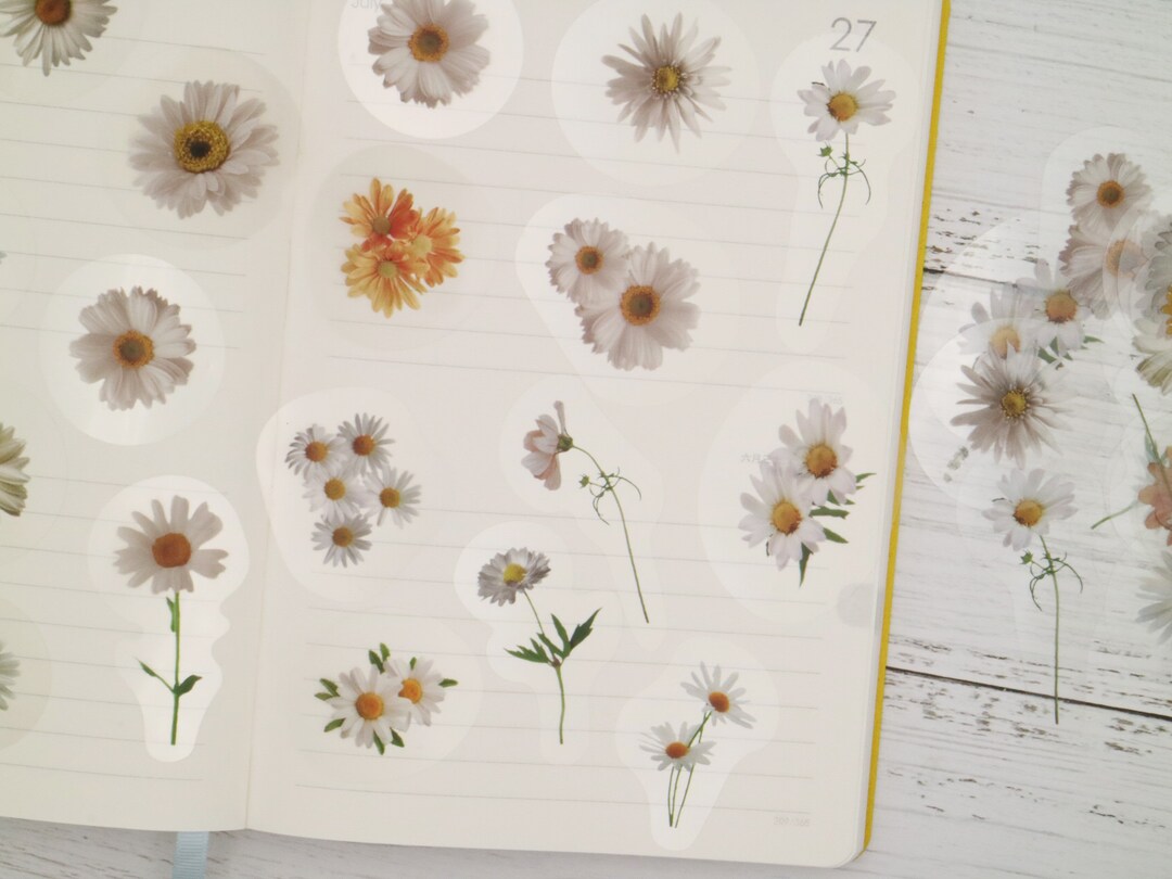 Daisy PET Plastic Sticker | Plant Flower Daisy Little Flower Themed PET ...