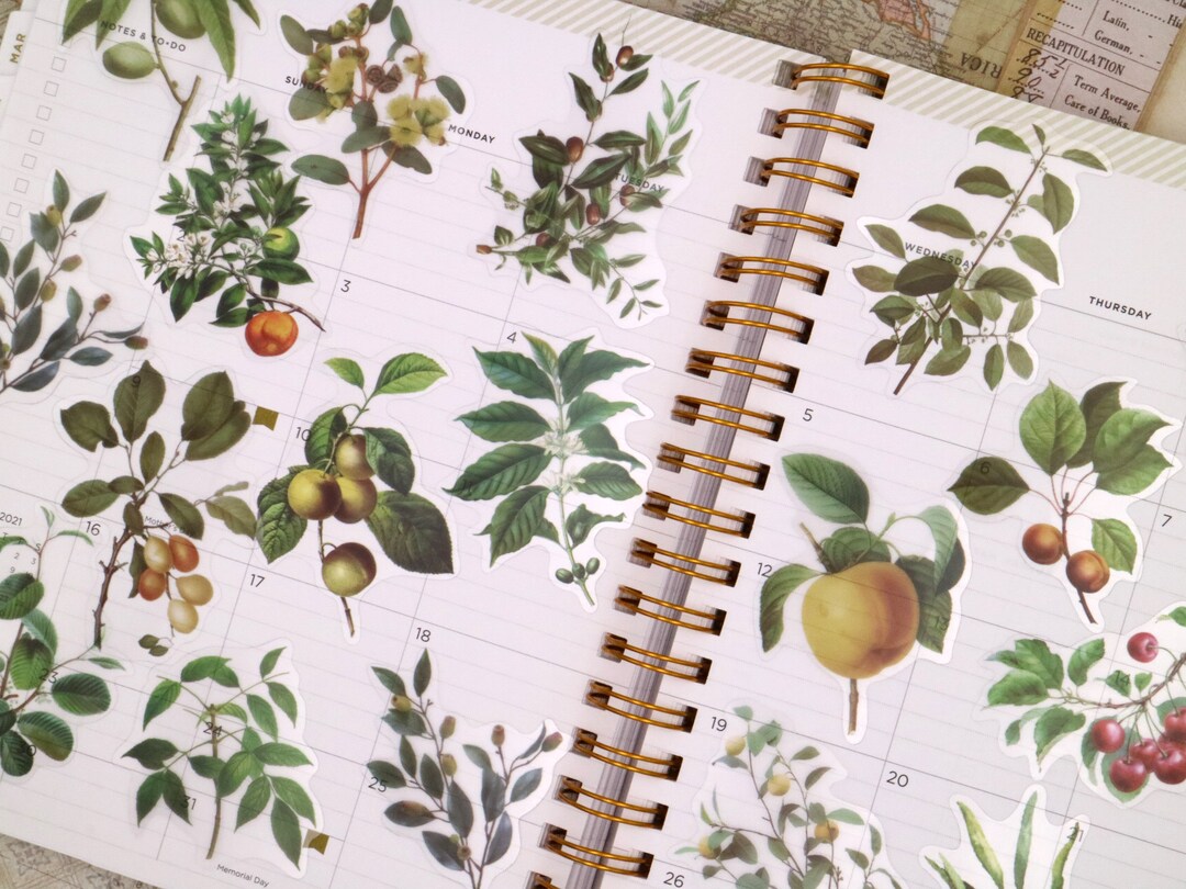 PET Plant Stickers Fruit Leaves Botanical Themed PET Plastic Sticker ...
