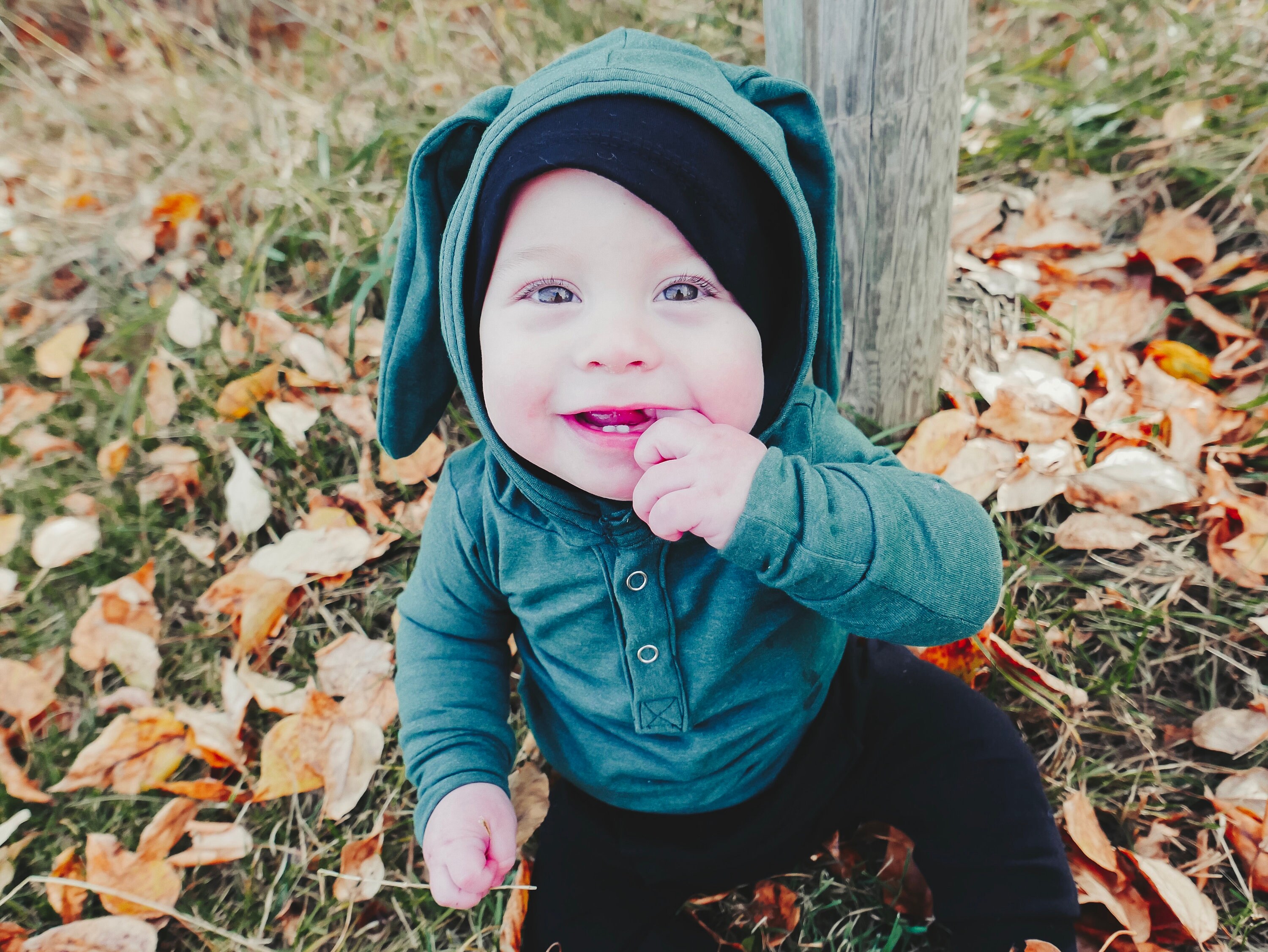 Animal Ears Pack - PDF Sewing Pattern - Etsy Canada