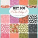 Hey Boo by Lella Boutique for Moda Fabrics - Webs 5213-12 Soft Pumpkin ...