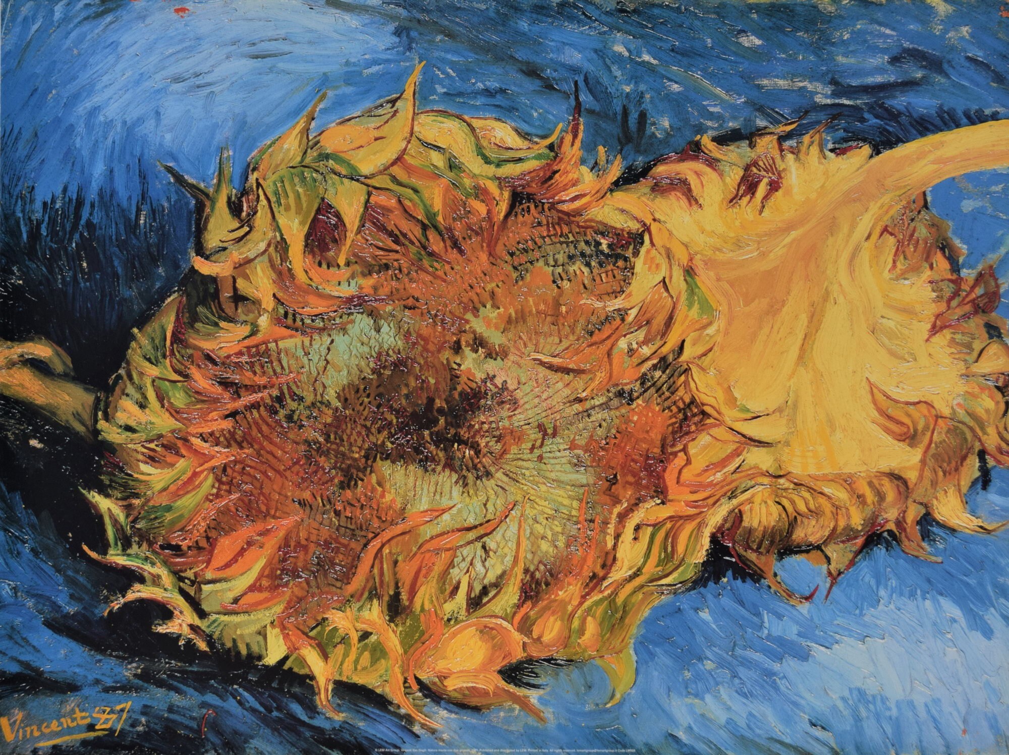 VINCENT VAN GOGH still Life With 2 Sunflowers - Etsy