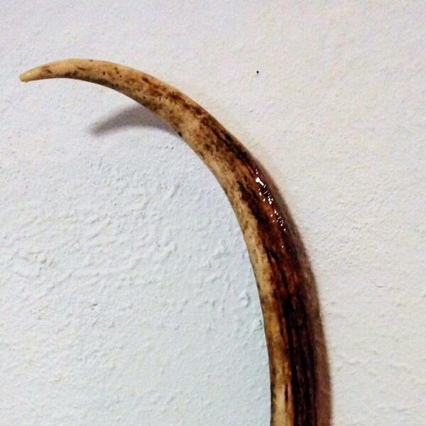 Custom Walking Cane - Etsy