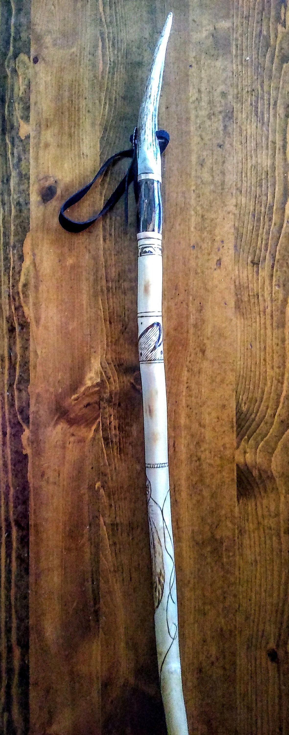 Pine, Cholla Cactus and Elk Antler Walking Stick/Cane, Walking Canes ...