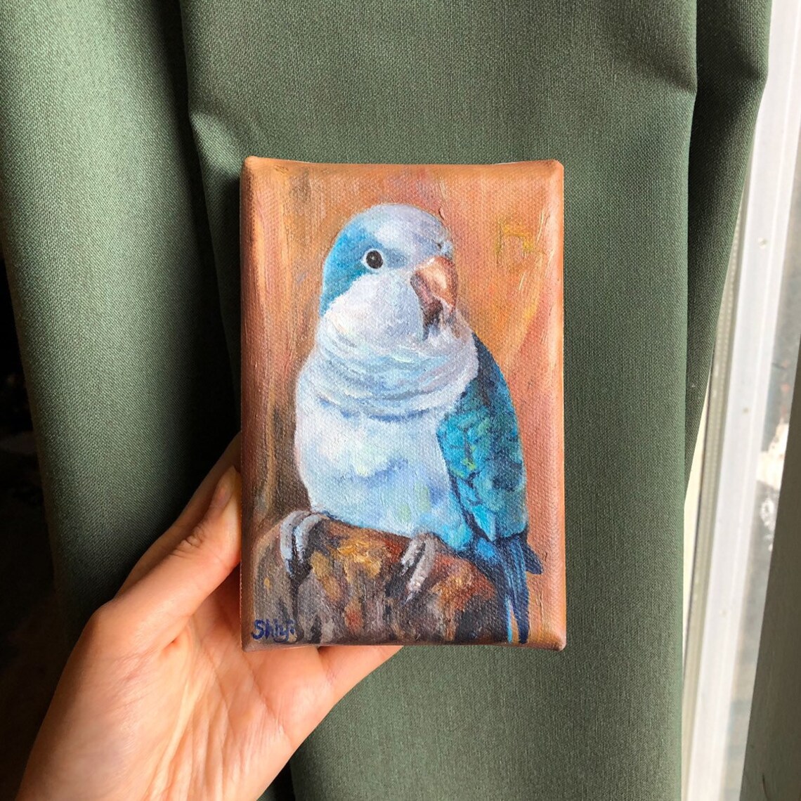 Original Bird Oil Painting/monk Parakeet/quaker - Etsy Ireland