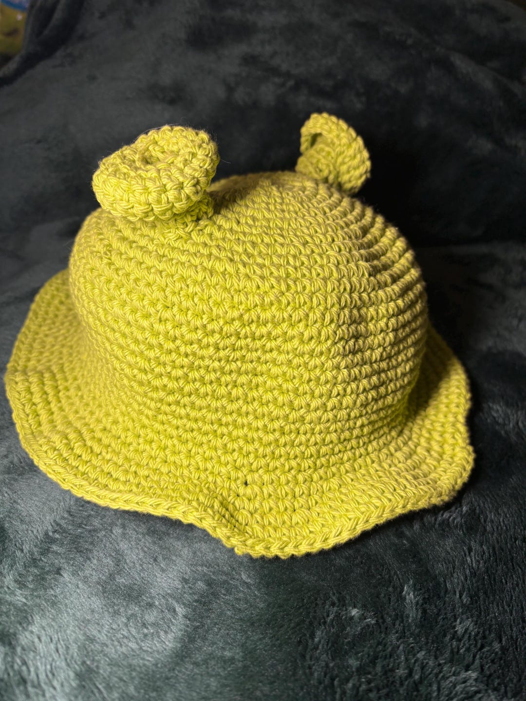Shrek Bucket Hat - Etsy