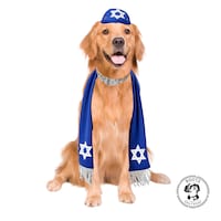 Yarmulke Kippah for Pets: Dogs and Cats - Etsy