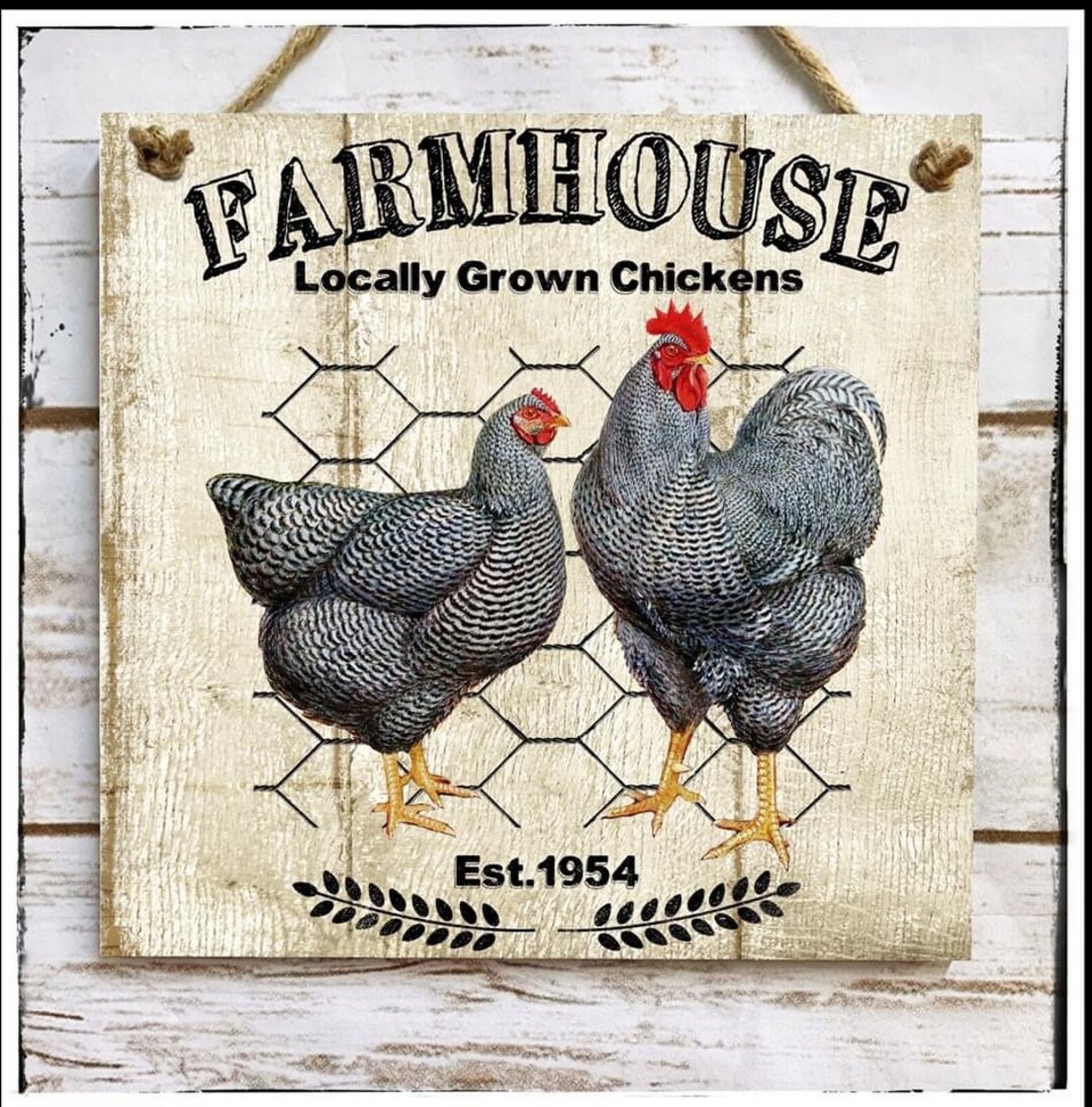 Wall Hanging Square Plaque/picture Farmhouse Poultry Chickens Farm Hen ...